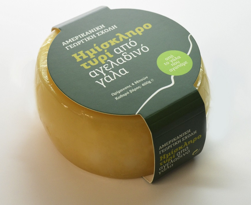 Τυρί ΑΜΕΡΙΚΑΝΙΚΗ ΓΕΩΡΓΙΚΗ ΣΧΟΛΗ ημίσκληρο 300gr